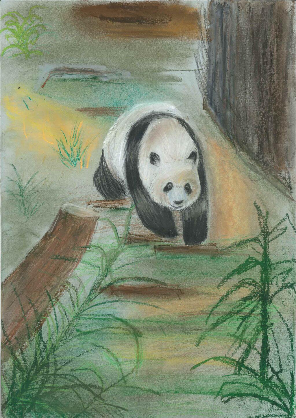 Giant Panda Painting Competition 2025 - e-Gallery | Celebrating Our ...