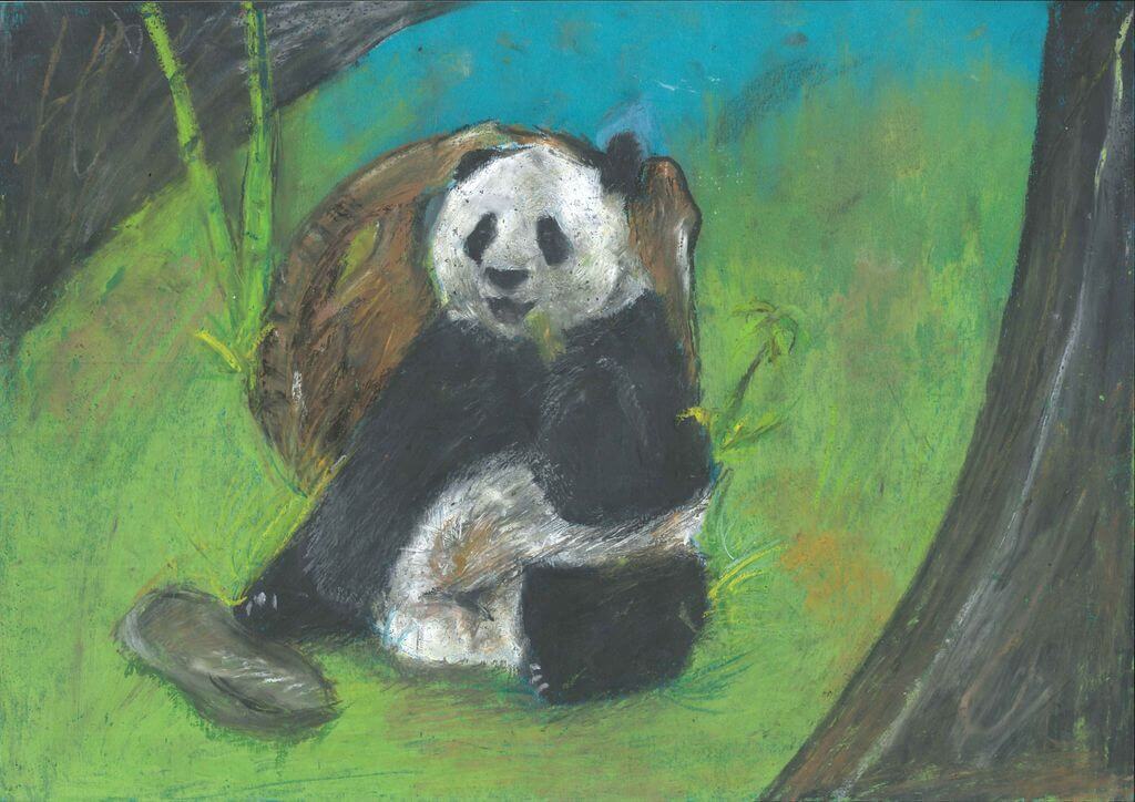 Giant Panda Painting Competition 2025 – e-Gallery | Celebrating Our ...